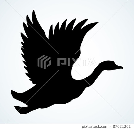 Goose in flight. Vector drawing - Stock Illustration [87621201] - PIXTA
