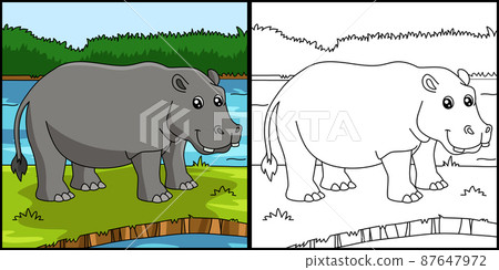 Hippo Coloring Page