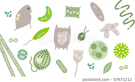 Phytoplankton Clipart