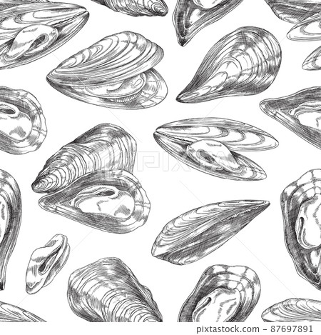 Mussel hand drawn seamless pattern, monochrome... - Stock Illustration ...