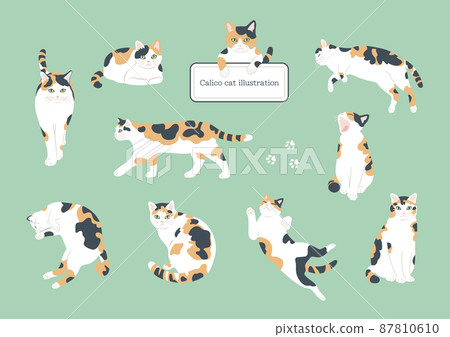 Calico cat illustration set - Stock Illustration [87810610] - PIXTA