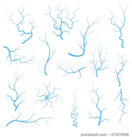 Human blue eye veins, anatomy blood vessel... - Stock Illustration ...