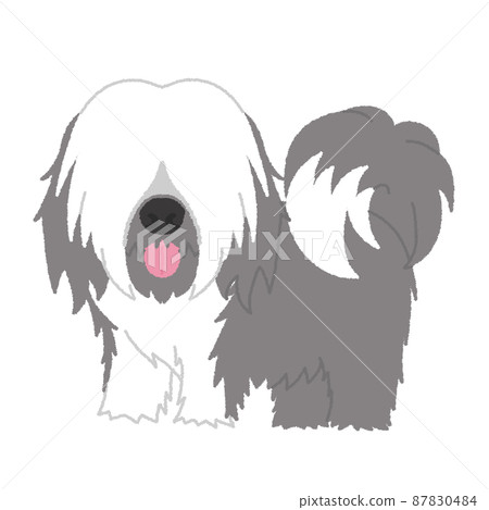 Tibetan terrier dog illustration - Stock Illustration [87830484] - PIXTA