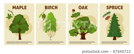 Trees Vertical Posters Set - Stock Illustration [87848722] - PIXTA