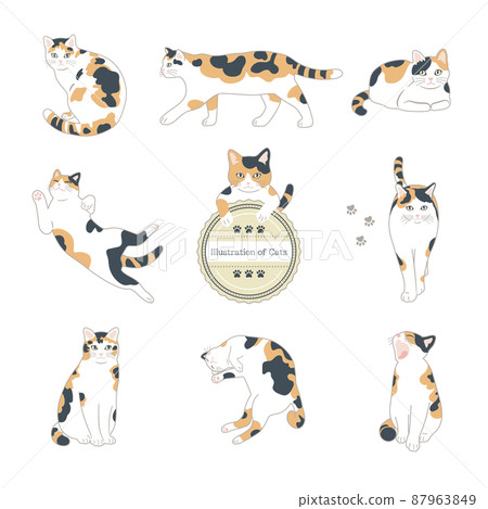 Calico cat illustration set - Stock Illustration [87963849] - PIXTA