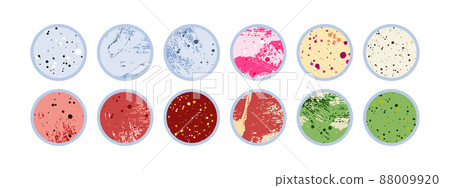 Petri dish, plate with agar, bacterial colony.... - Stock Illustration ...
