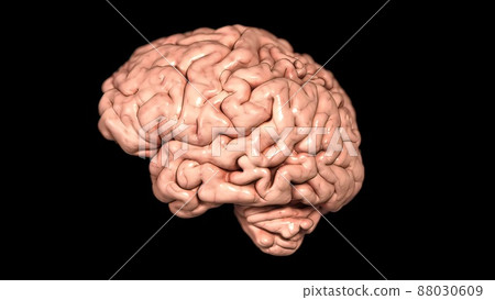 Rotating brain anatomy on black background. 3D... - Stock Illustration ...