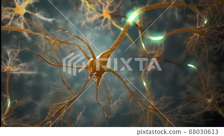 3D Medical Brain cell sand neurons - Stock Illustration [88030613] - PIXTA
