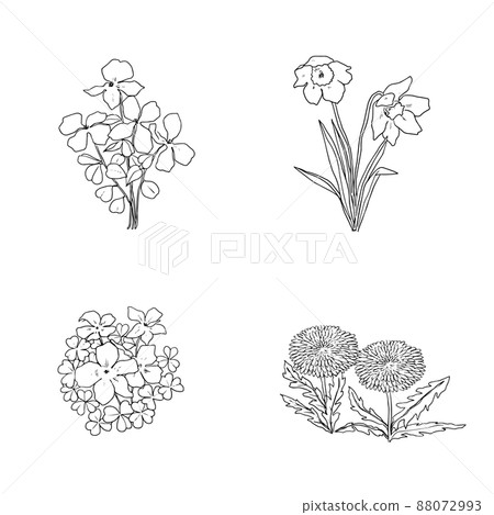 Line drawing illustration of spring flowers - Stock Illustration ...