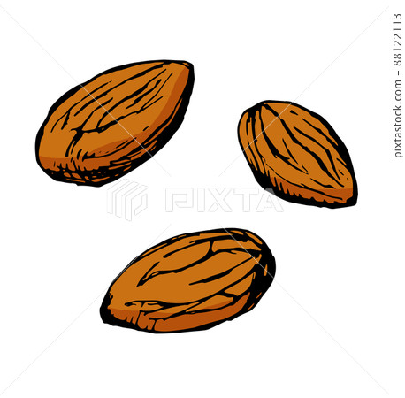 Almond Drawing