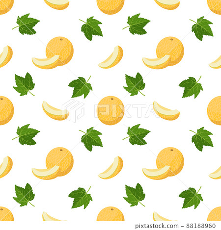 Seamless pattern with melons, curls and leaves.... - Stock Illustration ...
