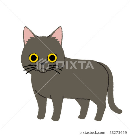 Chartreux cat illustration - Stock Illustration [88273639] - PIXTA