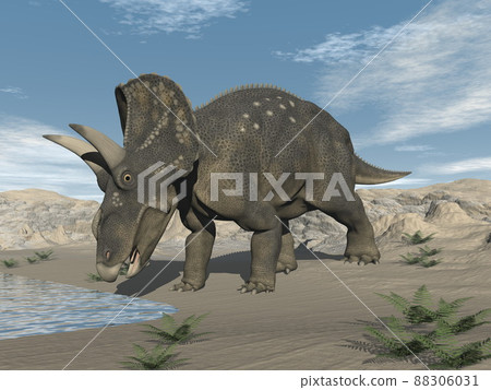 Diceratops nedoceratops dinosaur in the desert...-插圖素材 [88306031] - PIXTA圖庫