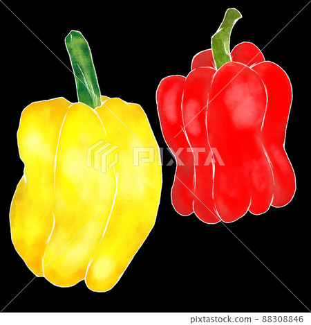 White line drawing paprika hand drawn... - Stock Illustration [88308846 ...