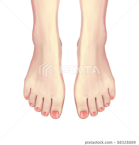 Realistic orange nail-painted women's legs - Stock Illustration ...