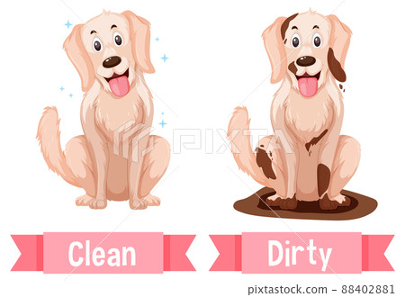 Opposite words for clean and dirty - Stock Illustration [88402881] - PIXTA