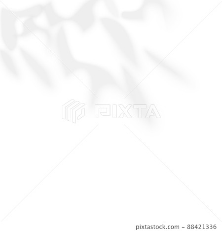 Soft drop shadow from the leaves on a white... - Stock Illustration ...