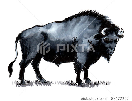 Big standing bull. Ink and watercolour drawing-插圖素材 [88422202] - PIXTA圖庫