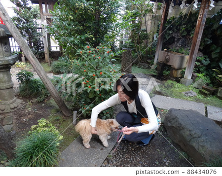 Healthy tall woman worshiping with her dog - Stock Photo [88434076] - PIXTA