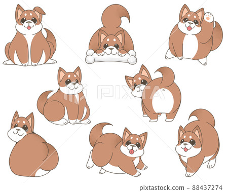 Shiba Inu pose collection - Stock Illustration [88437274] - PIXTA