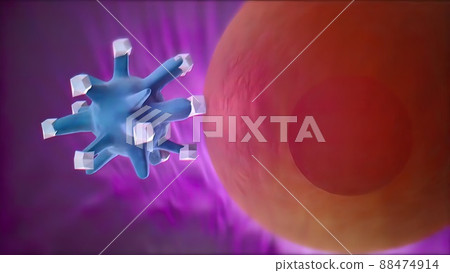 Antigen Presenting Cell 3d anatomy - Stock Illustration [88474914] - PIXTA