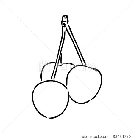 Cherry sketch. Lettering of the word cherry.... - Stock Illustration ...