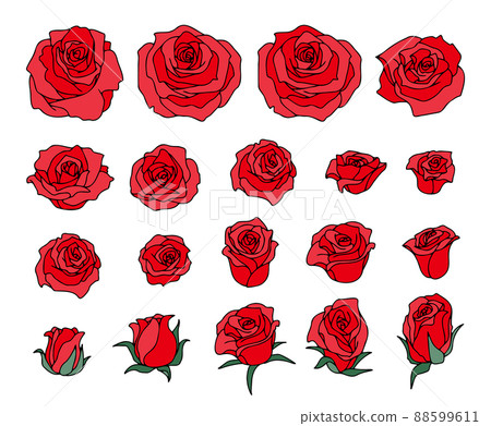 Rose flower set without stems and leaves - Stock Illustration [88599611 ...