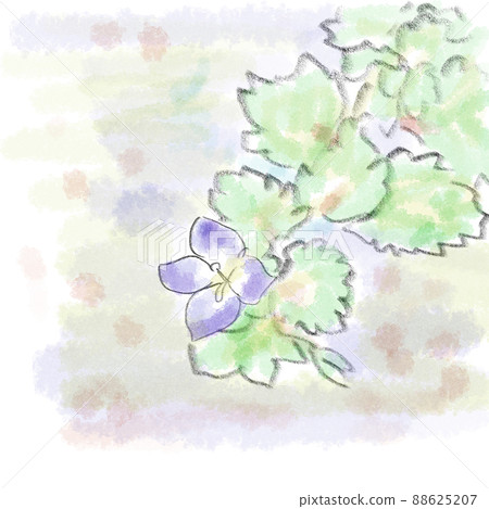 Illustration of Persian speedwell - Stock Illustration [88625207] - PIXTA