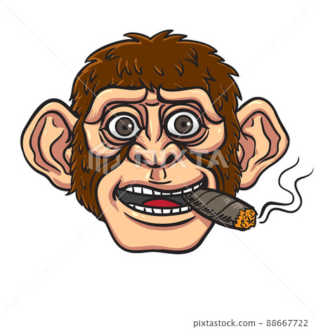 Smooking Monkey Cartoon - Stock Illustration [88667722] - PIXTA