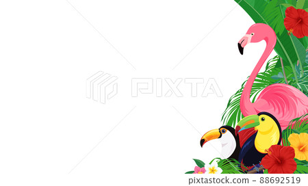 Tropical bird frame_illustration material_16: 9 - Stock Illustration ...
