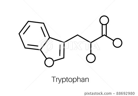 Tryptophan chemical formula - Stock Illustration [88692980] - PIXTA