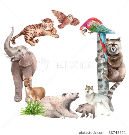 Biodiversity as natural wildlife species or... - Stock Illustration ...
