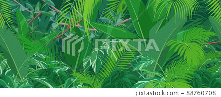 Tropical plants_Jungle landscape... - Stock Illustration [88760708] - PIXTA