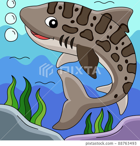 Leopard Shark Colored Cartoon Illustration - Stock Illustration ...
