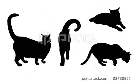 Cat shadow - Stock Illustration [88788835] - PIXTA