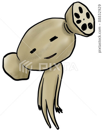 Lotus root - Stock Illustration [88832929] - PIXTA