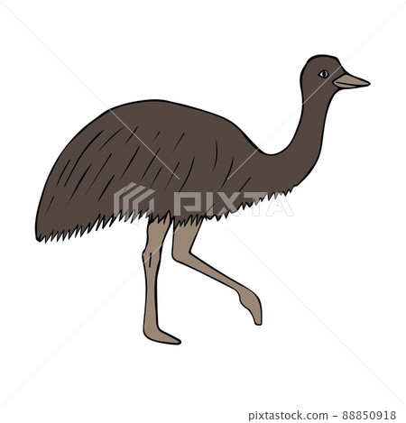 Vector hand drawn doodle sketch colored emu - Stock Illustration ...