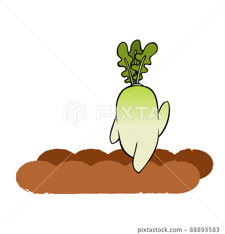 Walking radish 2 - Stock Illustration [88893583] - PIXTA