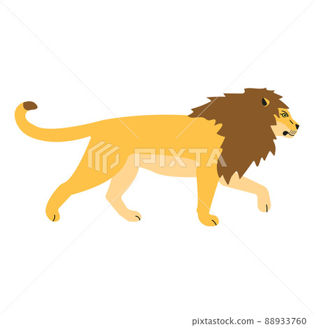 Vector flat lion - Stock Illustration [88933760] - PIXTA