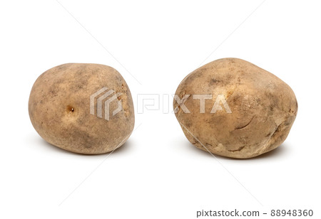Potato potato illustration real single substance - Stock Illustration ...