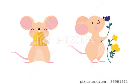 Cute adorable mice in different actions set.... - Stock Illustration ...