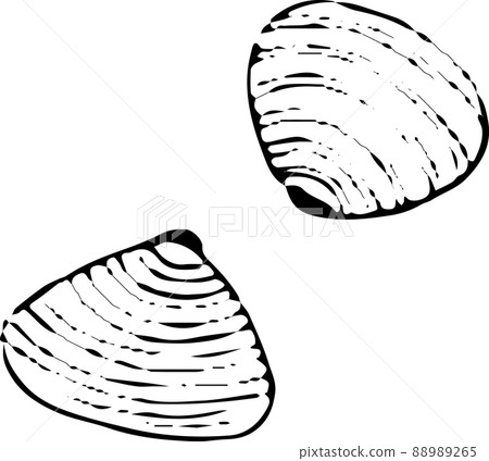 Salted shellfish - Stock Illustration [88989265] - PIXTA