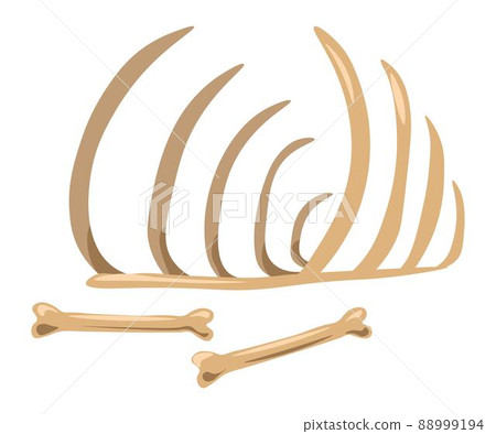 Bones skeleton left by extinct animal in past - Stock Illustration ...