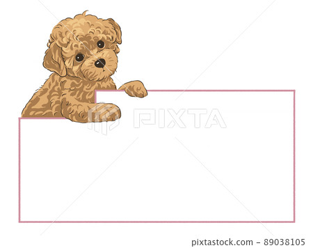 Cute toy poodle puppy frame - Stock Illustration [89038105] - PIXTA
