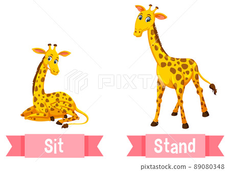 Opposite English Words sit and stand - Stock Illustration [89080348 ...