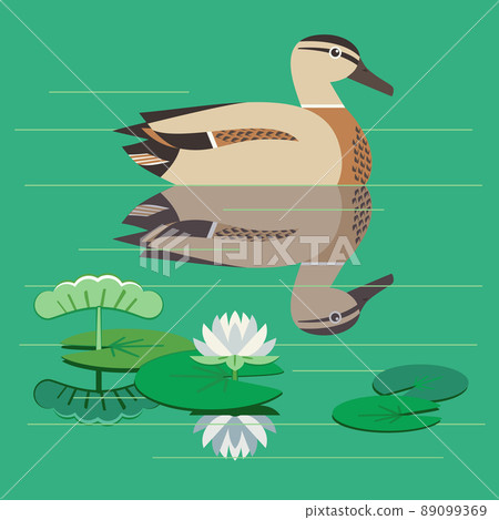 Mallard female duck simple flat color vector icon - Stock Illustration [89099369] - PIXTA