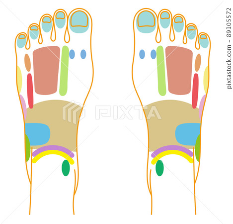 Illustration of the reflex zone and acupuncture... - Stock Illustration ...