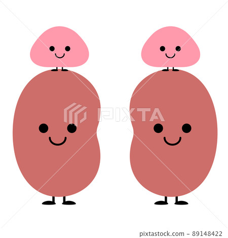 Cute internal organs kidney, adrenal gland - Stock Illustration ...