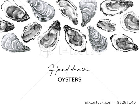 Border with hand drawn oysters - Stock Illustration [89267149] - PIXTA