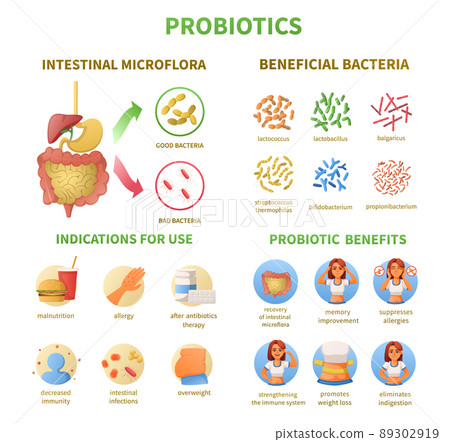 Probiotics Infographics Cartoon Set - Stock Illustration [89302919] - PIXTA
